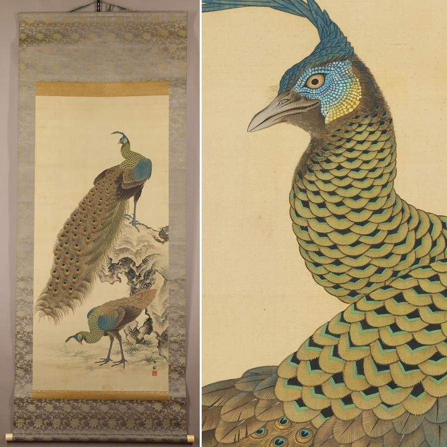 Yahoo!オークション -「掛け軸 孔雀」(花鳥、鳥獣) (日本画)の Yahoo!オークション -「掛け軸 孔雀」(花鳥、鳥獣) (日本画)の