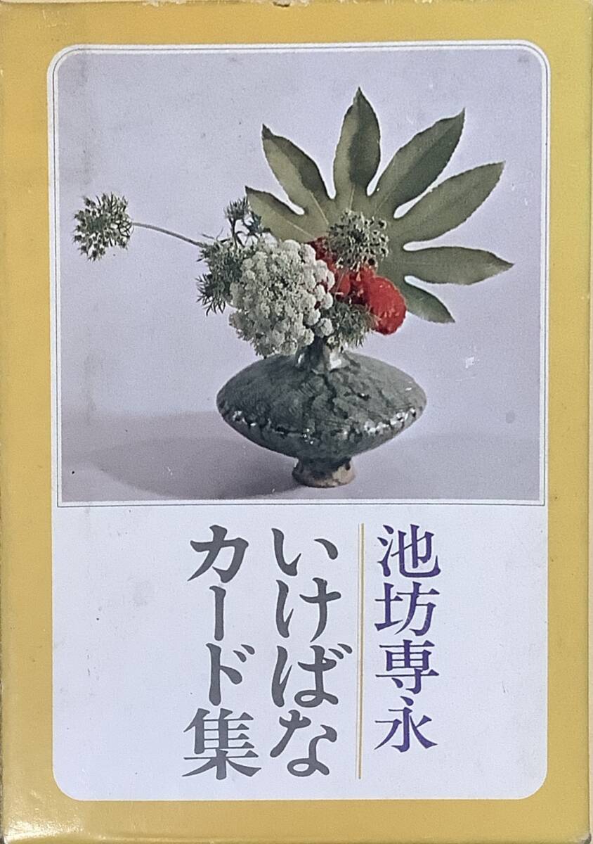 2025年最新】Yahoo!オークション -池坊専永の中古品・新品・未 2025年最新】Yahoo!オークション -池坊専永の中古品・新品・未
