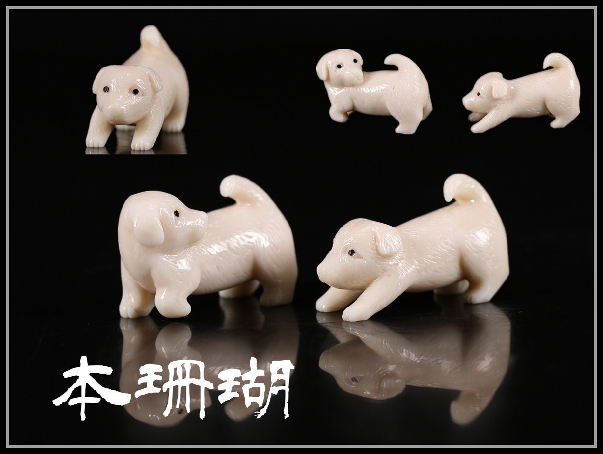 Yahoo!オークション -「珊瑚 置物 白」(美術品) の落札相場 Yahoo!オークション -「珊瑚 置物 白」(美術品) の落札相場