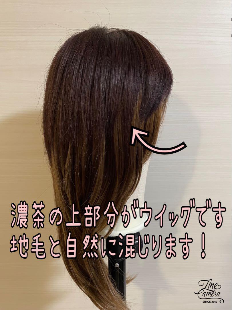2025年最新】Yahoo!オークション -人毛100の中古品・新品・未 2025年最新】Yahoo!オークション -人毛100の中古品・新品・未