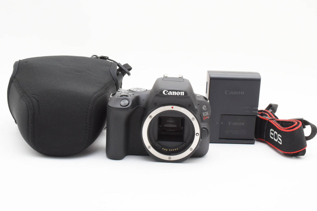 2025年最新】Yahoo!オークション -camera case(キヤノン)の中古 2025年最新】Yahoo!オークション -camera case(キヤノン)の中古