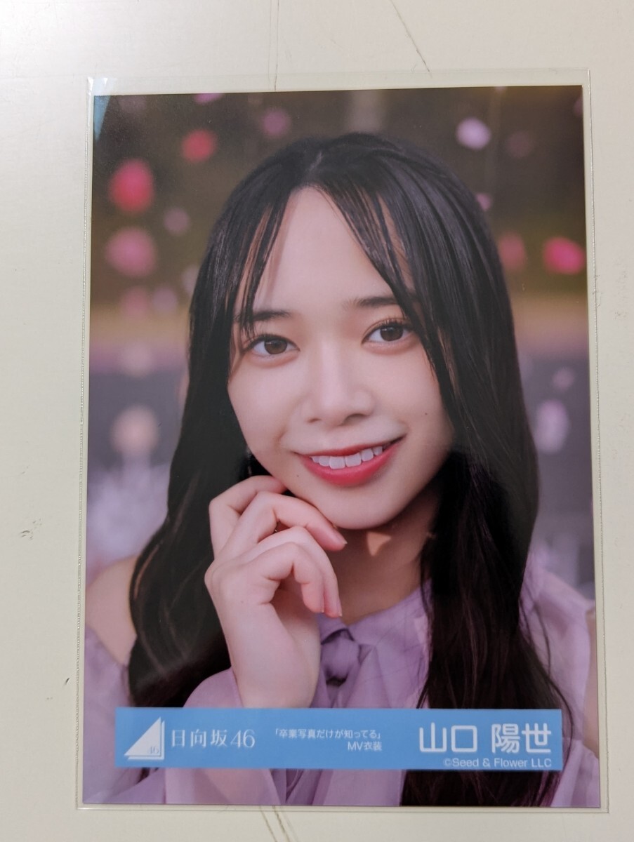 Yahoo!オークション -「山口陽世 生写真」の落札相場・落札価格 Yahoo!オークション -「山口陽世 生写真」の落札相場・落札価格