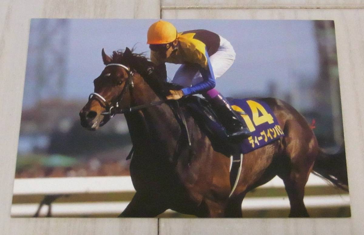 2025年最新】Yahoo!オークション -ポストカード(競馬)の中古品 2025年最新】Yahoo!オークション -ポストカード(競馬)の中古品