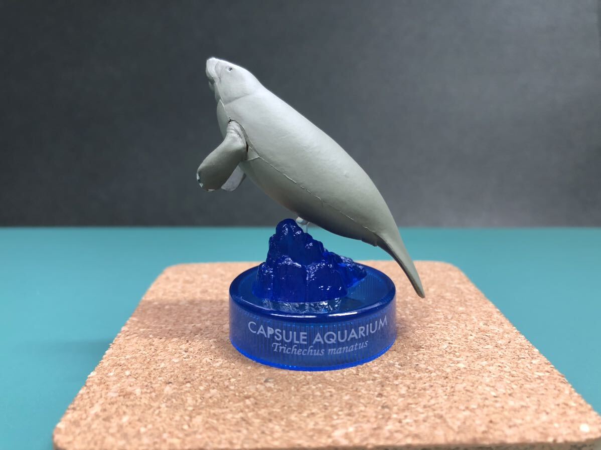 Yahoo!オークション -「日本水族館立体生物図録 5」の落札相場 Yahoo!オークション -「日本水族館立体生物図録 5」の落札相場